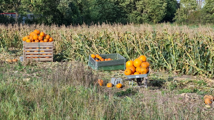 traversée de Gotland de Visby à Åminne - expéditions arctiques 2006-16 ...